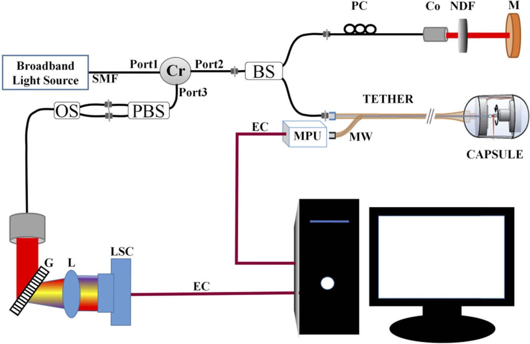 Researchers Develop Optical Tomography System with BitFlow Frame ...
